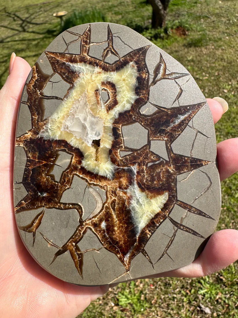 Septarian Nodule Calcite, Muddy Creek, Orderville, Kane Co. UT UV Reac ...