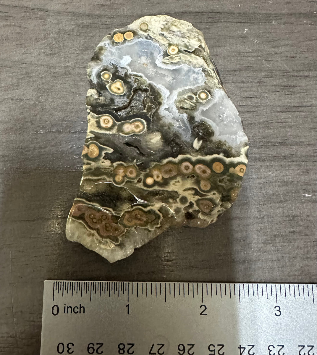 8th Vein Ocean Jasper Slab #38| Gems & Minerals Rock