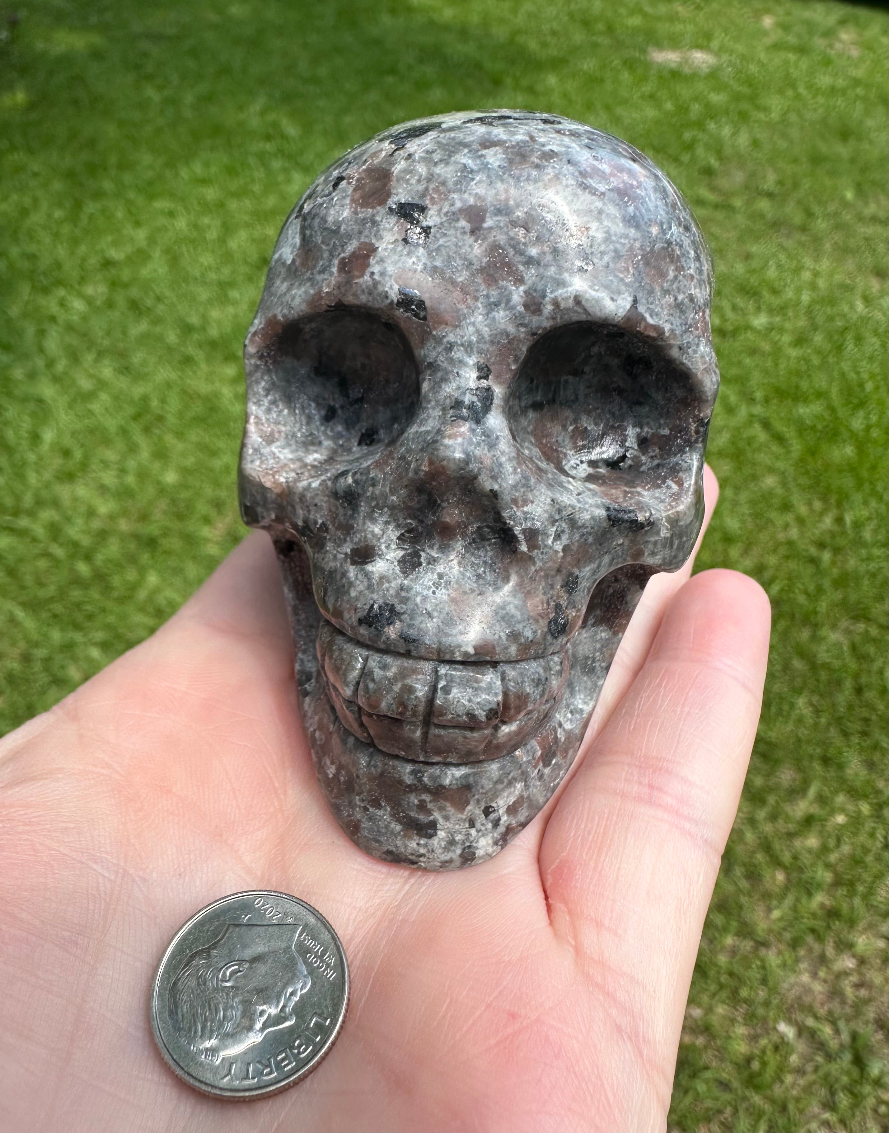 Emberlite aka Yooperlite Skull Uv Reactive – Gems & Minerals Rock Shop