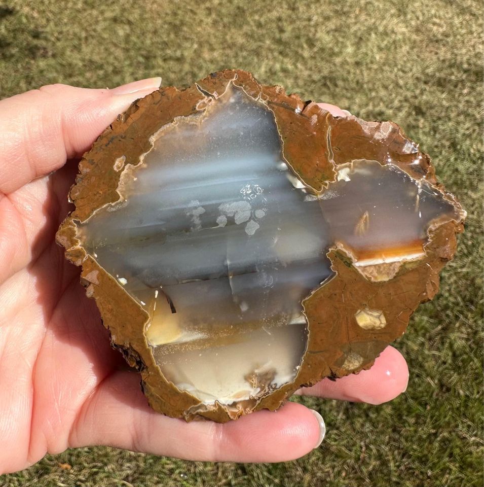 Pretty Scenic Thunder Egg – Gems & Minerals Rock Shop