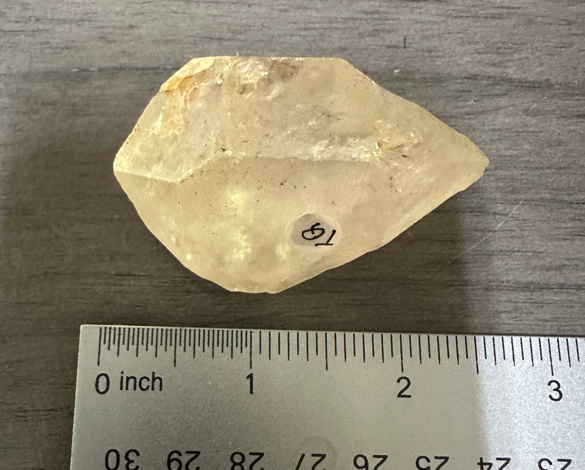 Enhydro Tibetan Quartz Specimen #8| Gems & Minerals Rock