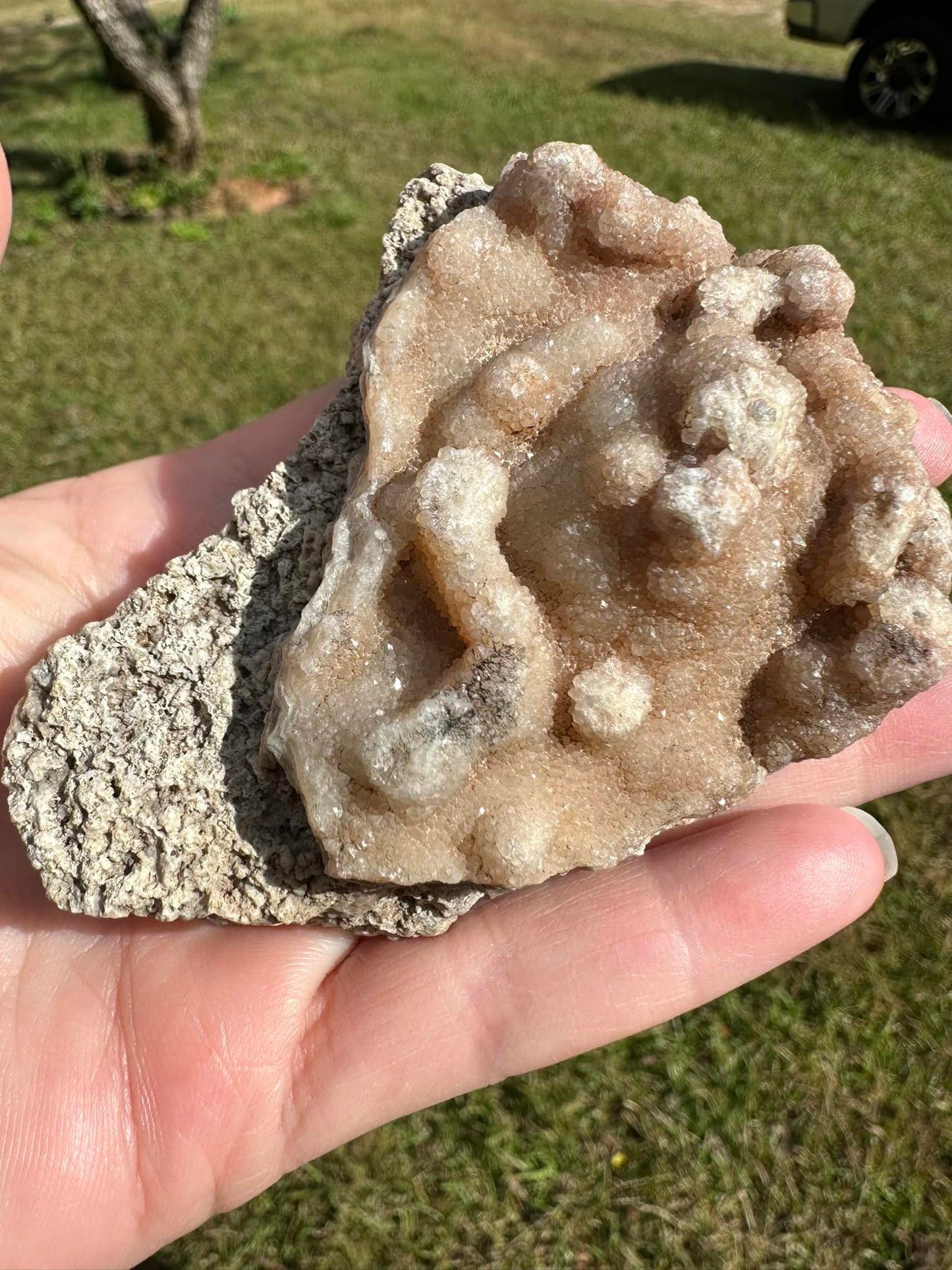 Haunted Ridge Specimen – Gems & Minerals Rock Shop