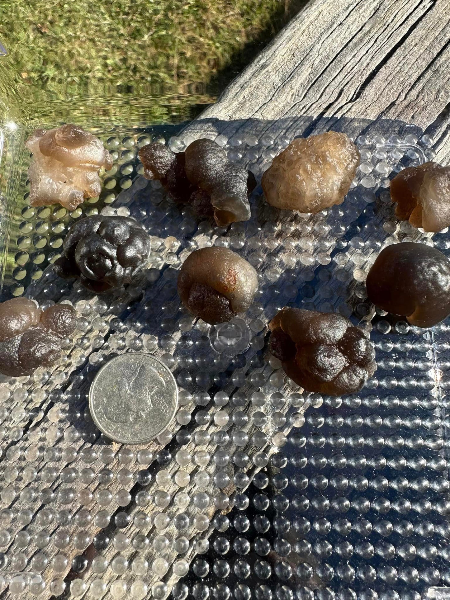 Small Panda Agate – Gems & Minerals Rock Shop