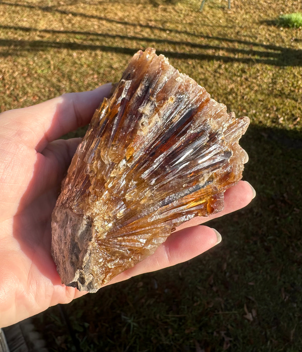 Natural Amber Calcite Raw Specimen UV Reactive #8| Gems & Minerals Rock