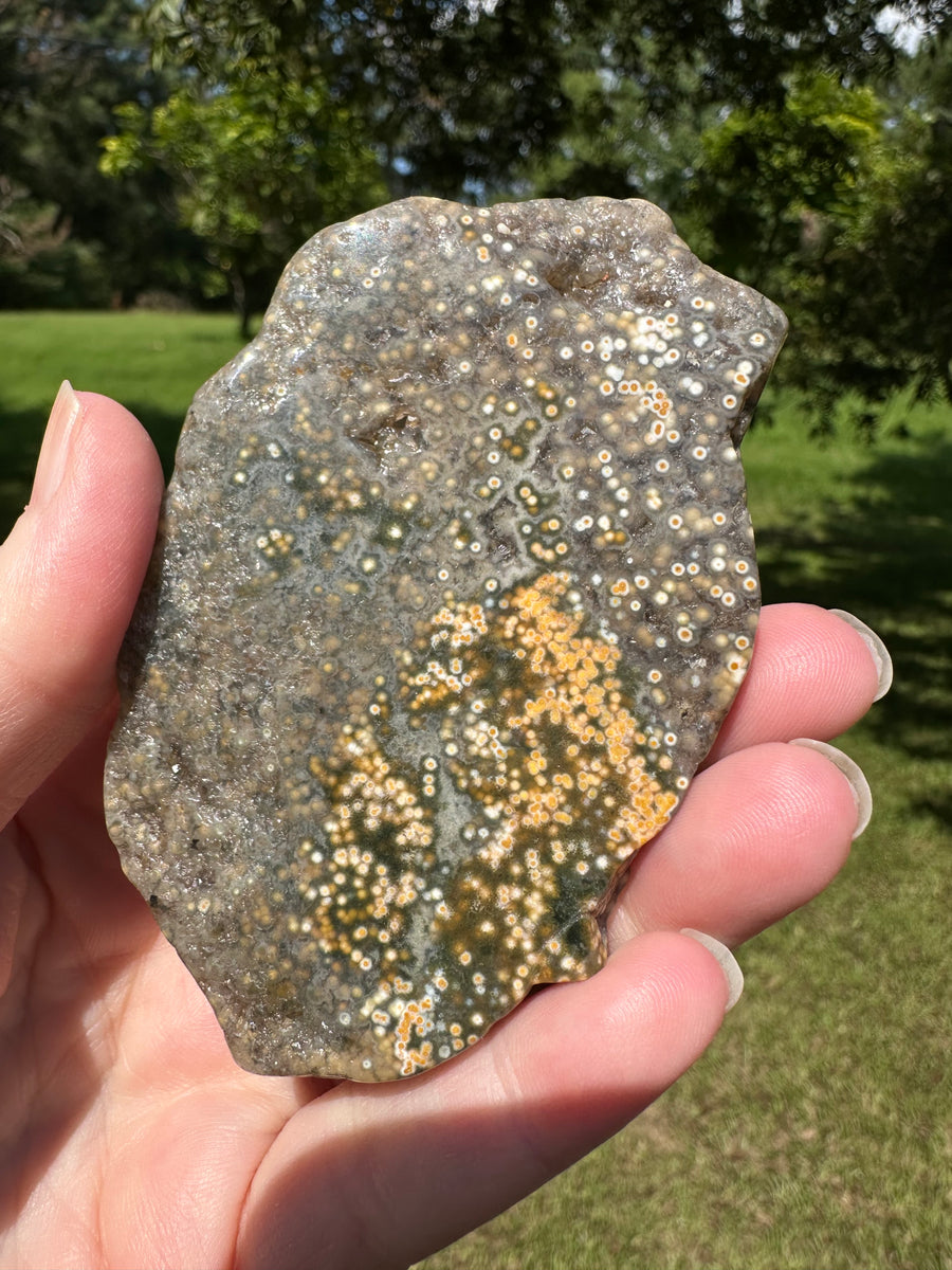 8th Vein Ocean Jasper Slab #125| Gems & Minerals Rock