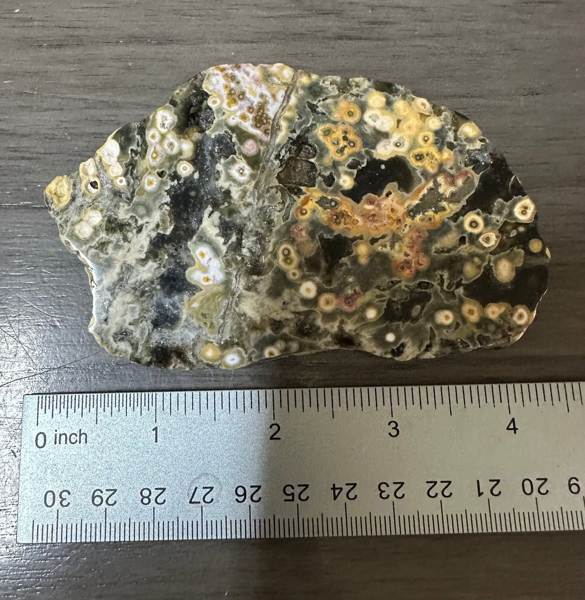 8th Vein Ocean Jasper Slab #92| Gems & Minerals Rock
