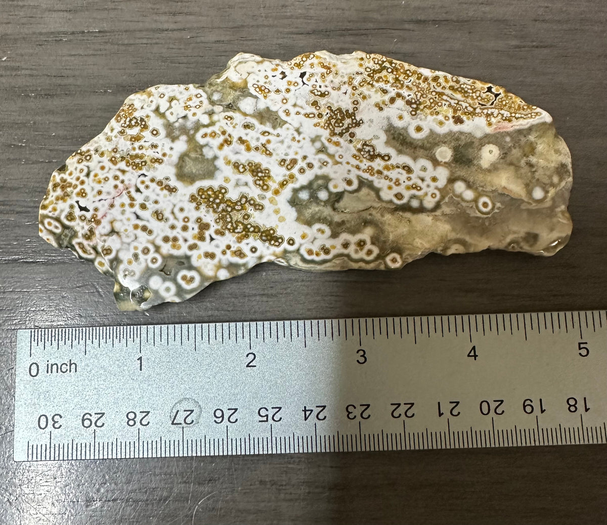 8th Vein Ocean Jasper Slab #90| Gems & Minerals Rock