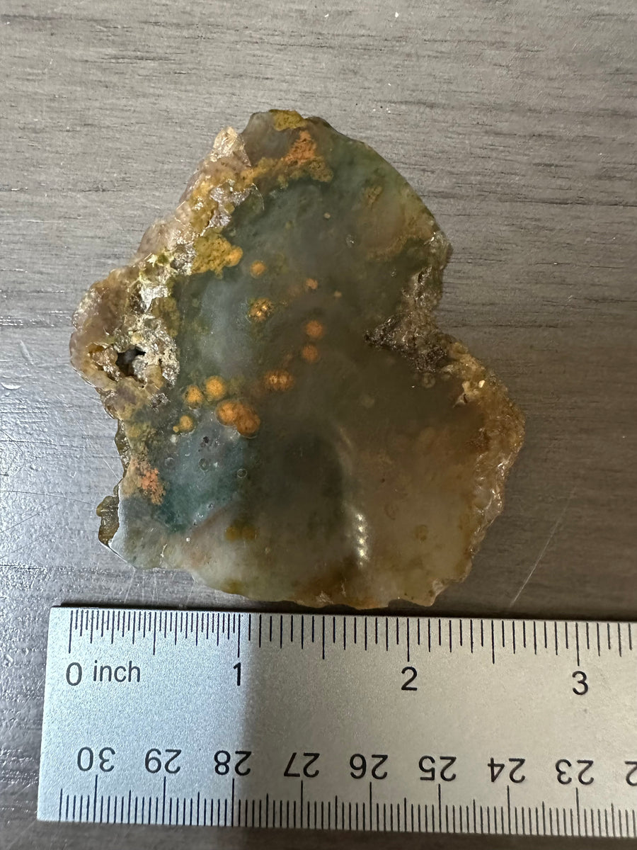8th Vein Ocean Jasper Slab #76| Gems & Minerals Rock