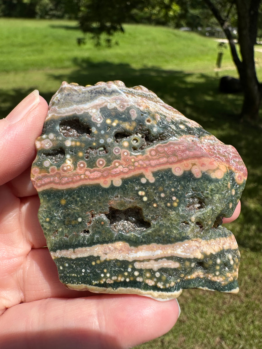 8th Vein Ocean Jasper Slab #123| Gems & Minerals Rock