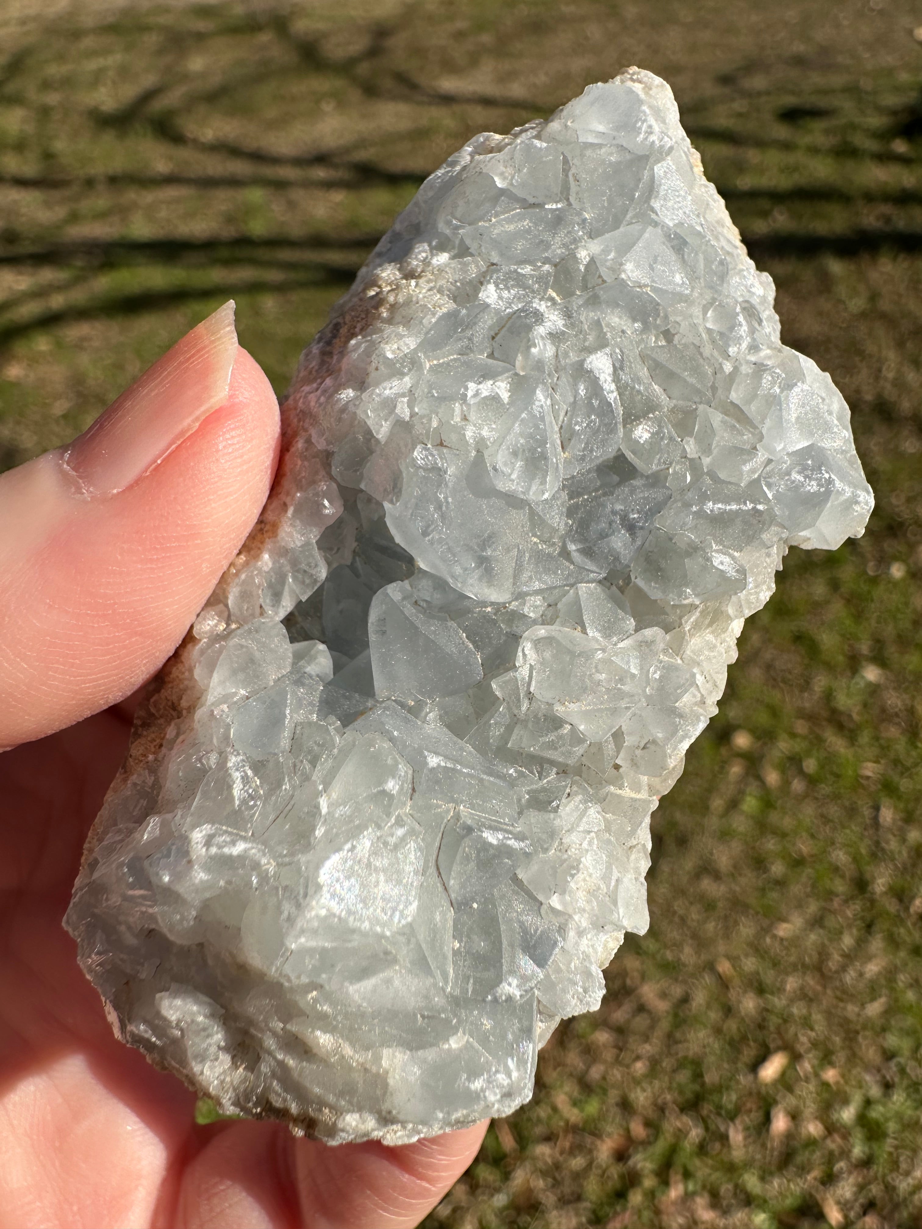 Celestite Cluster Specimen #4 – Gems & Minerals Rock Shop