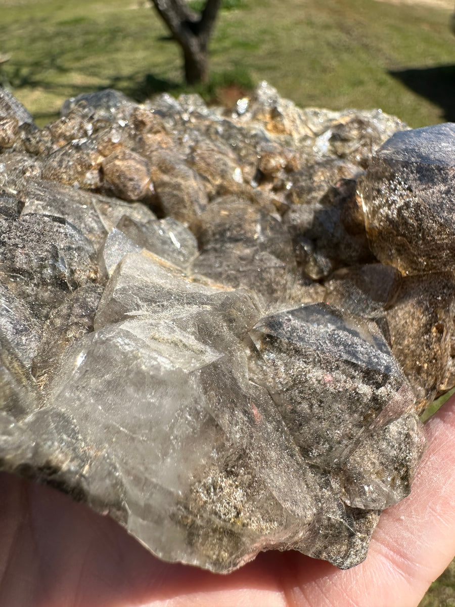 Quartz, Elestial Garden, Lodolite, Jacare, Brazil| Gems & Minerals Rock