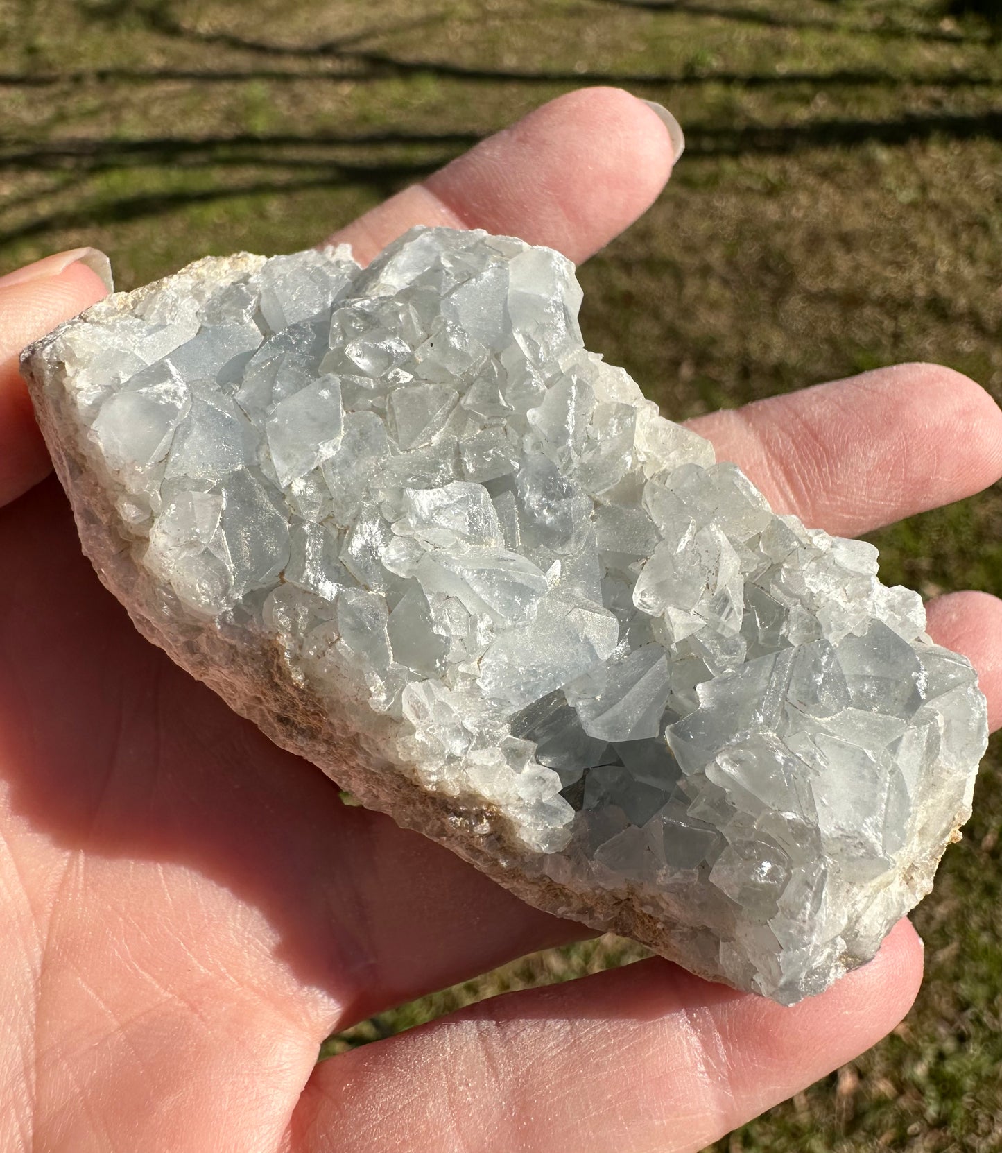Celestite Cluster Specimen #4 – Gems & Minerals Rock Shop