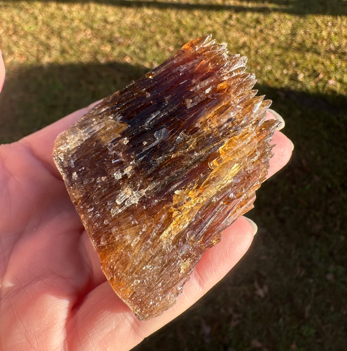 Natural Amber Calcite Raw Specimen UV Reactive #6| Gems & Minerals Rock