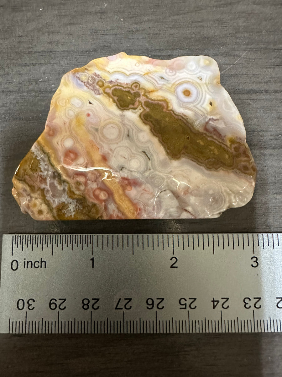 8th Vein Ocean Jasper Slab #48| Gems & Minerals Rock