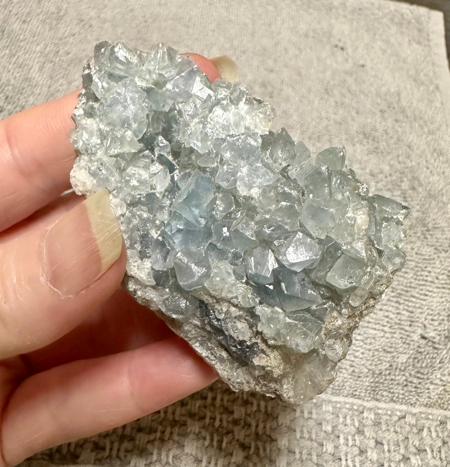 Celestite Cluster Specimen #1 – Gems & Minerals Rock Shop
