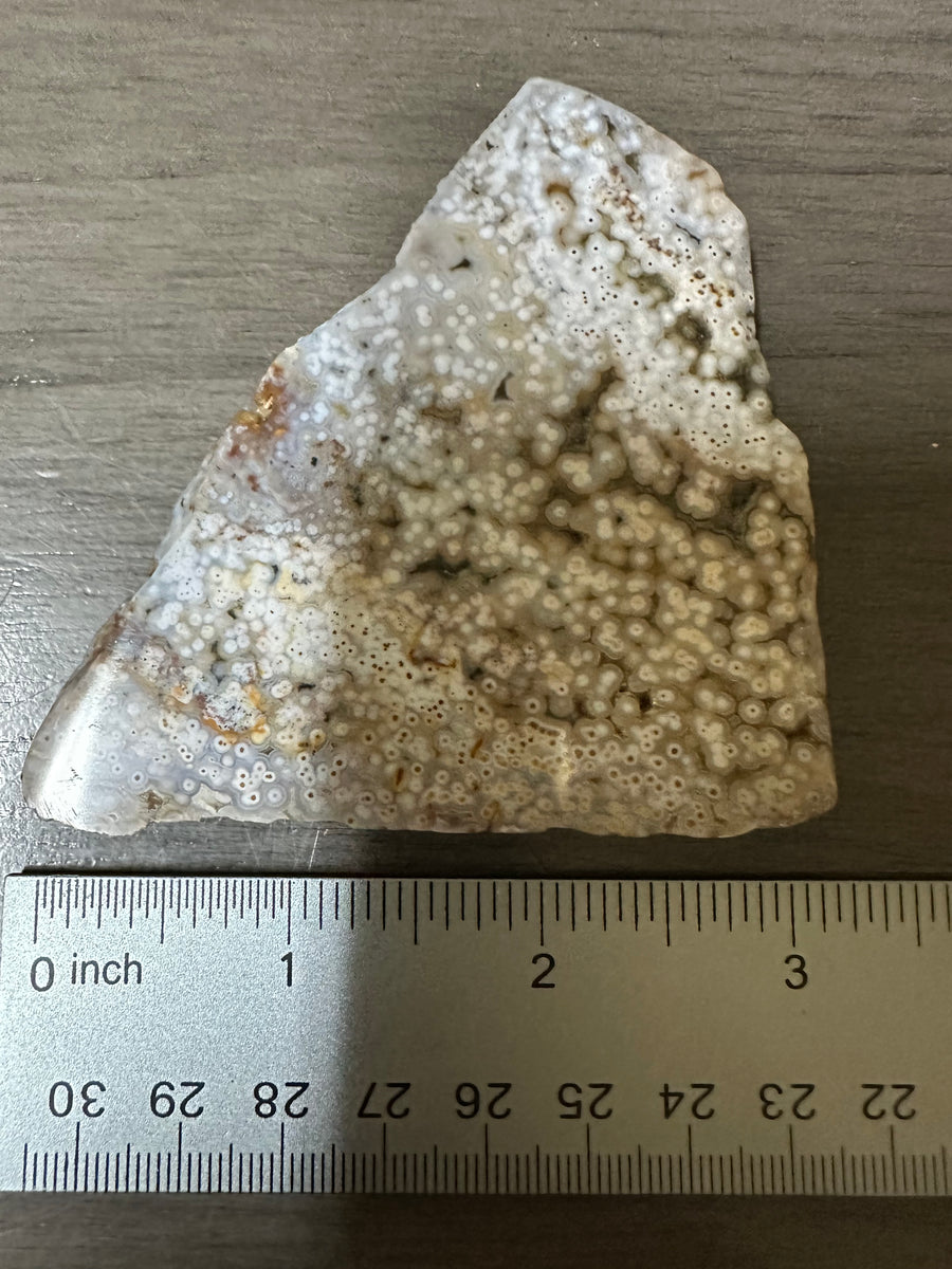 8th Vein Ocean Jasper Slab #82| Gems & Minerals Rock