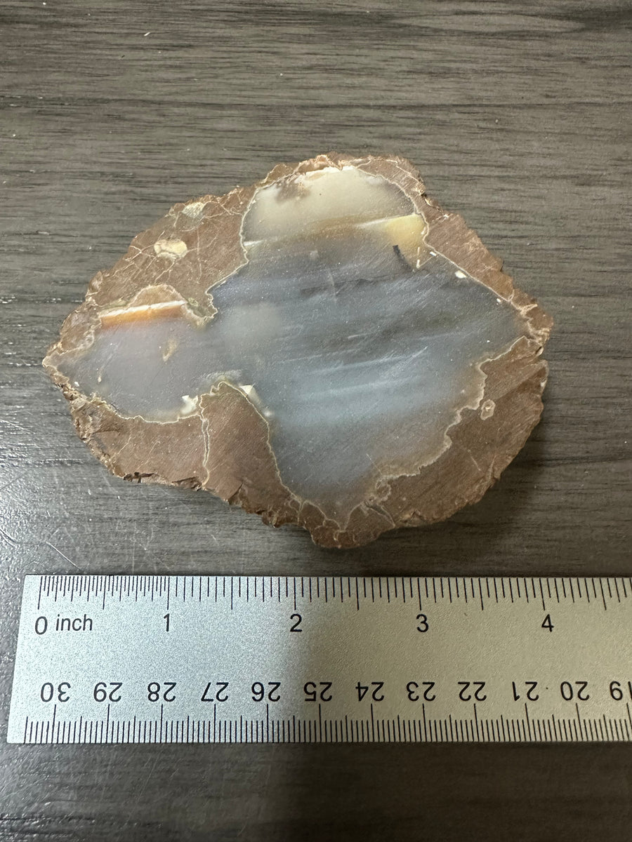 Pretty Scenic Thunder Egg| Gems & Minerals Rock
