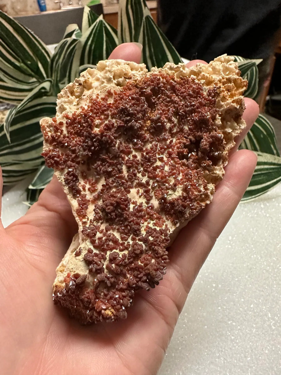 Vanadinate Specimen, Mibladen Morocco #14| Gems & Minerals Rock