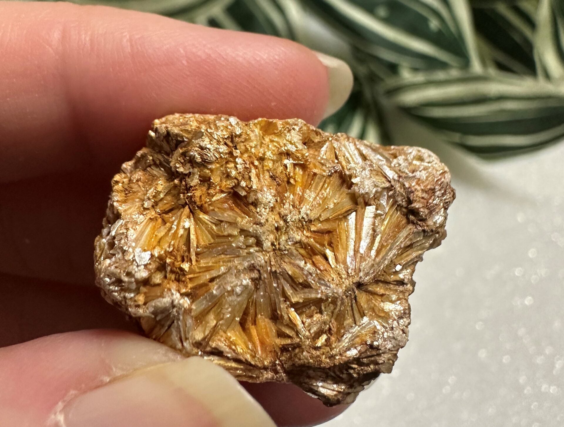 Pyrophyllite, Graves Mountain – Gems & Minerals Rock Shop