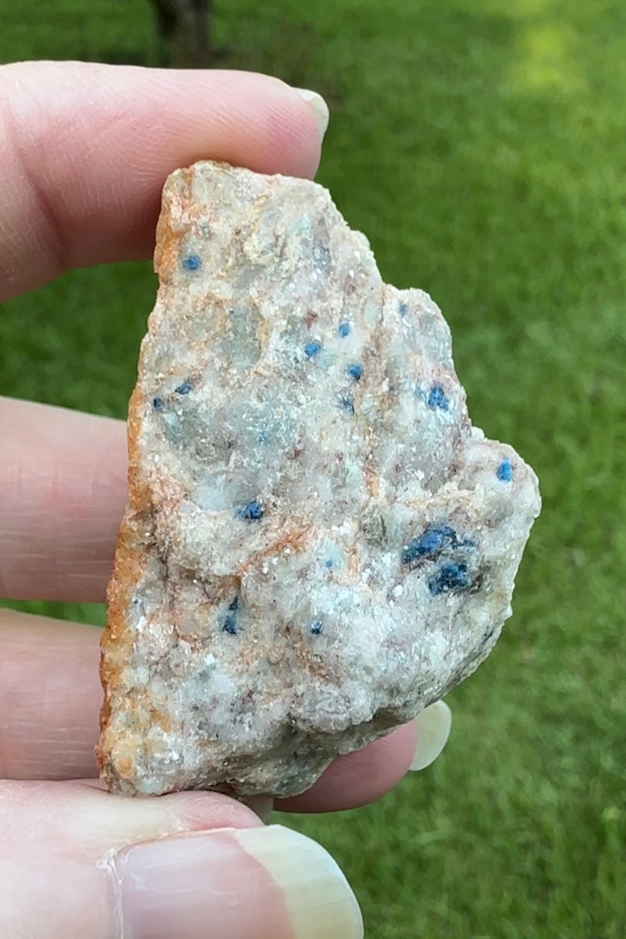 Lazulite, Kyanite Specimen, Graves Mountain #20 – Gems & Minerals Rock Shop