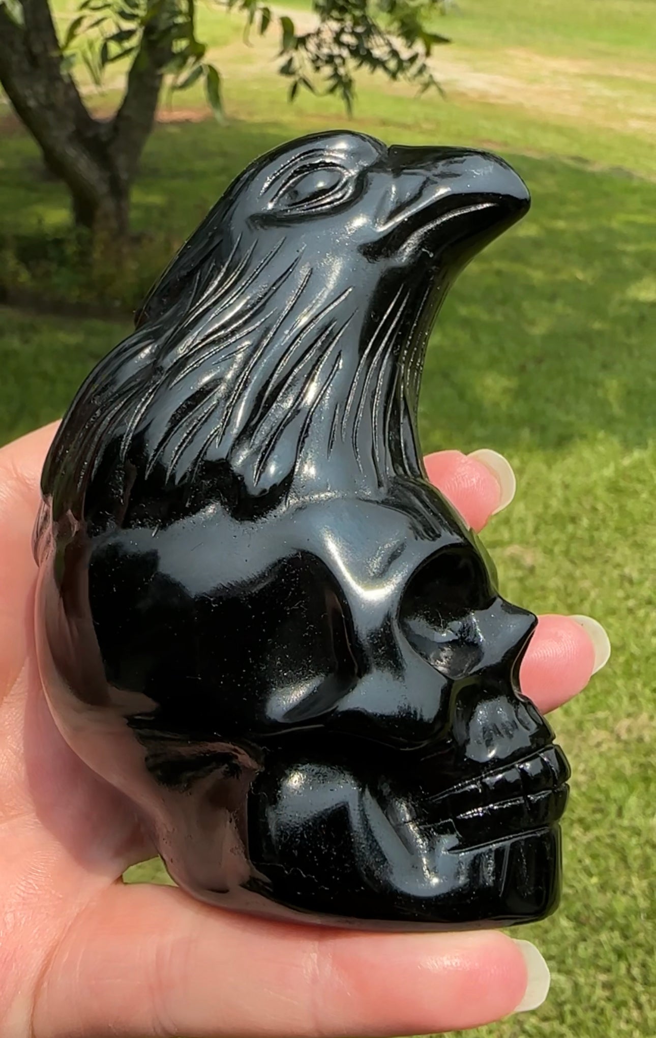 Black Obsidian Skull with Eagle – Gems & Minerals Rock Shop