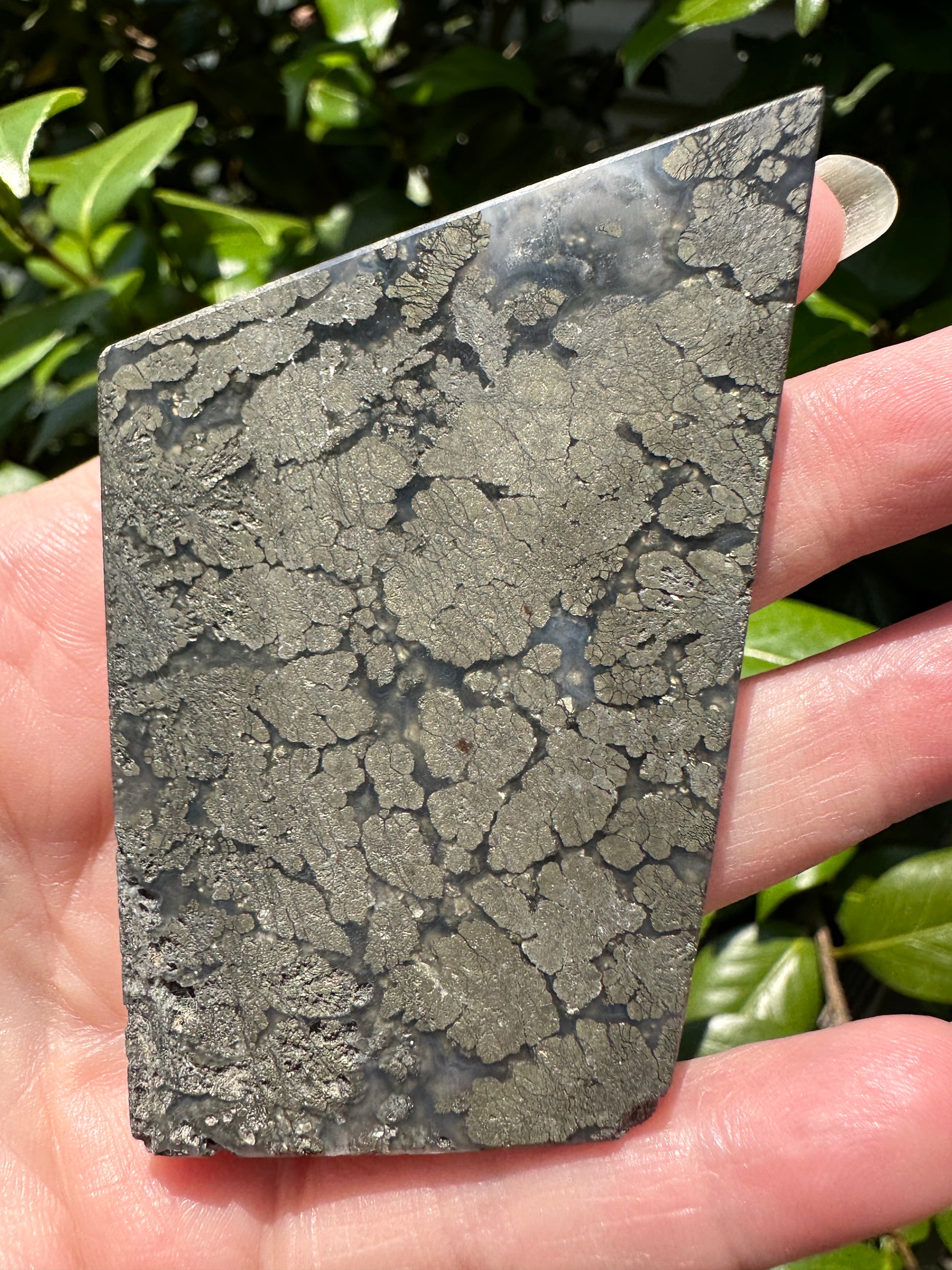Free Form Pyrite Flowers Symbiosis Mixed Agate Slab #4 – Gems ...