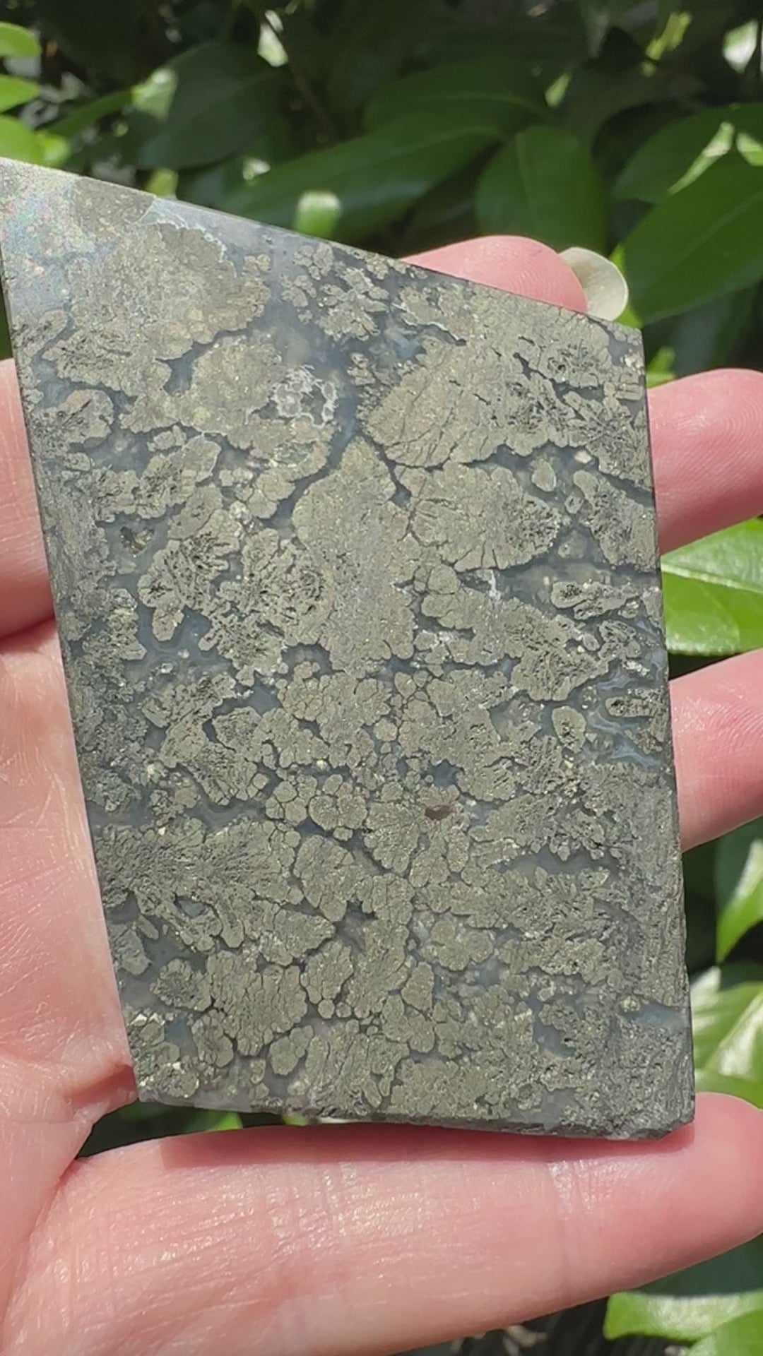 Free Form Pyrite Flowers Symbiosis Mixed Agate Slab #4 – Gems ...