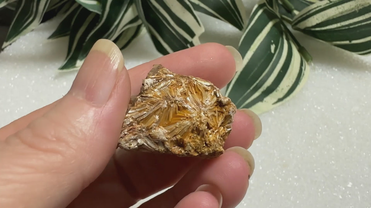 Pyrophyllite, Graves Mountain| Gems & Minerals Rock