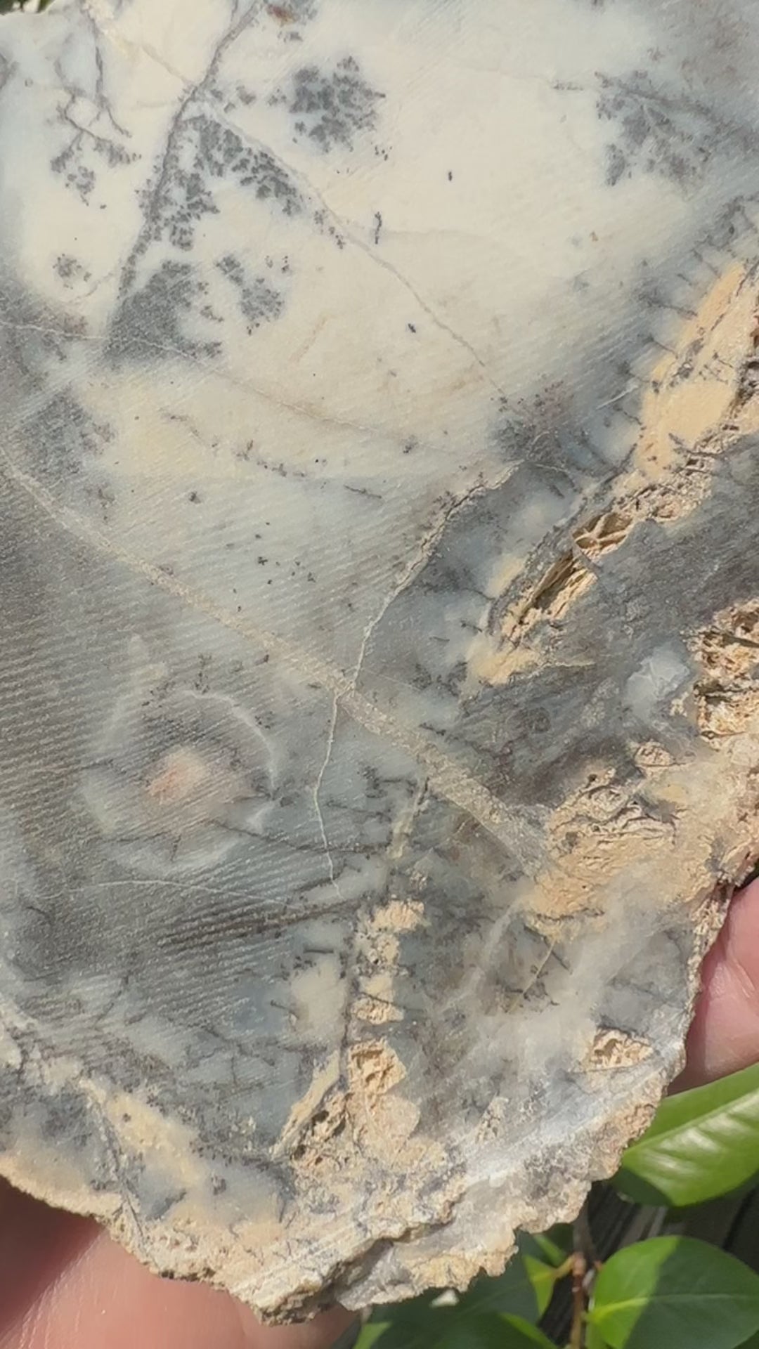 Dendritic Opal Slab – Gems & Minerals Rock Shop